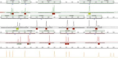 QF-PCR - TritaGene